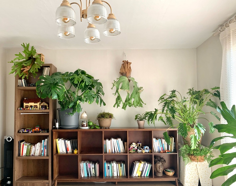 Heyhye 님의 라이프스타일 | 라이프스타일 슈퍼앱, 오늘의집