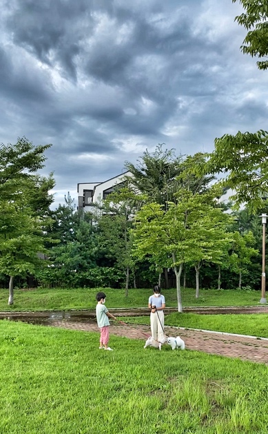 로망집🏡님의 라이프스타일 라이프스타일 슈퍼앱 오늘의집