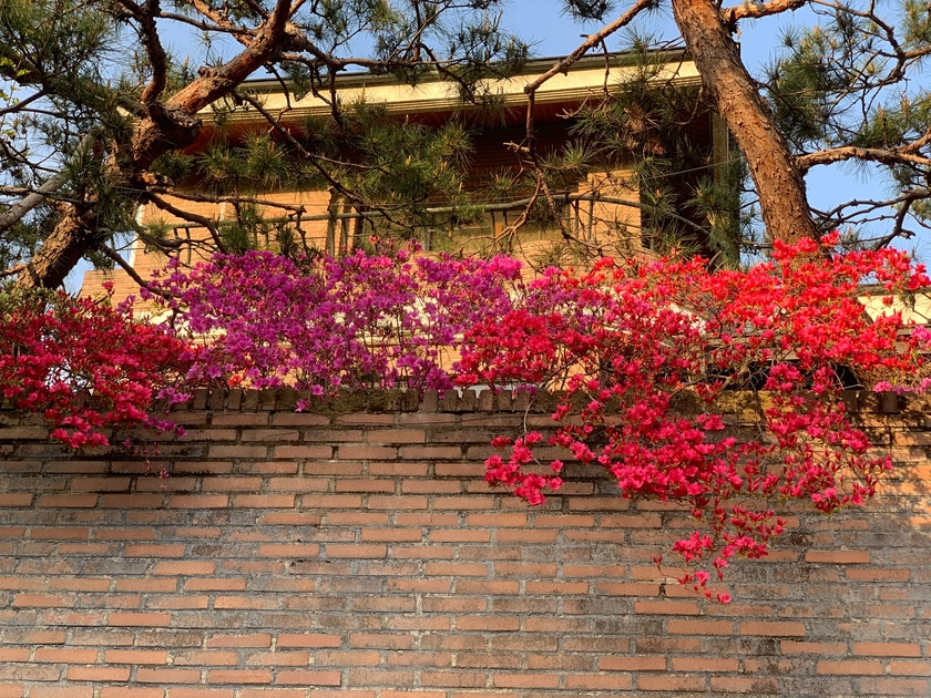 로망집🏡님의 라이프스타일 라이프스타일 슈퍼앱 오늘의집