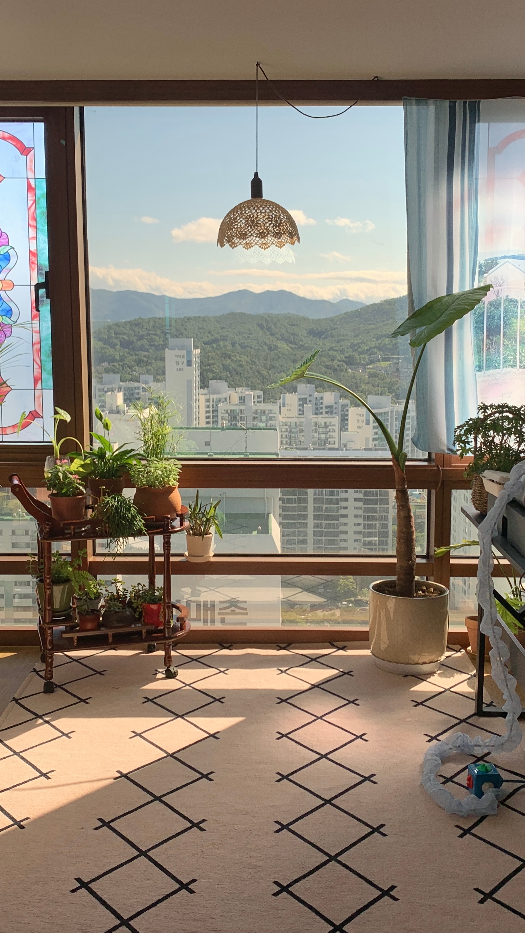 빈티지를 사랑하는 인테리어 디자이너의 플랜테리어 🪴 라이프스타일 슈퍼앱 오늘의집