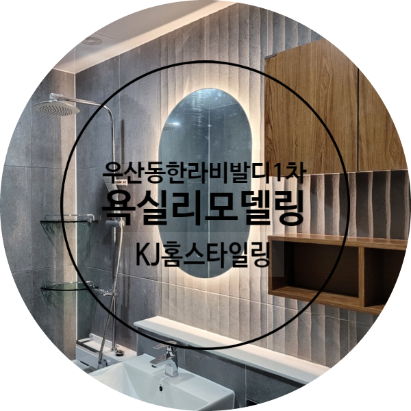 원주욕실리모델링 한라비발디욕실리모델링 라이프스타일 슈퍼앱 오늘의집