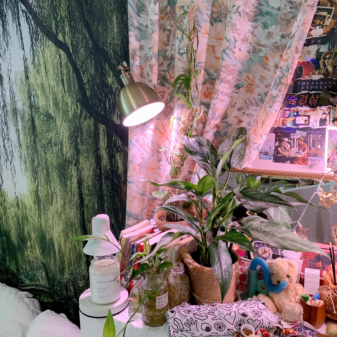 답답한 회색 원룸 식물과🌿 패브릭으로🧶 생기있게 라이프스타일 슈퍼앱 오늘의집
