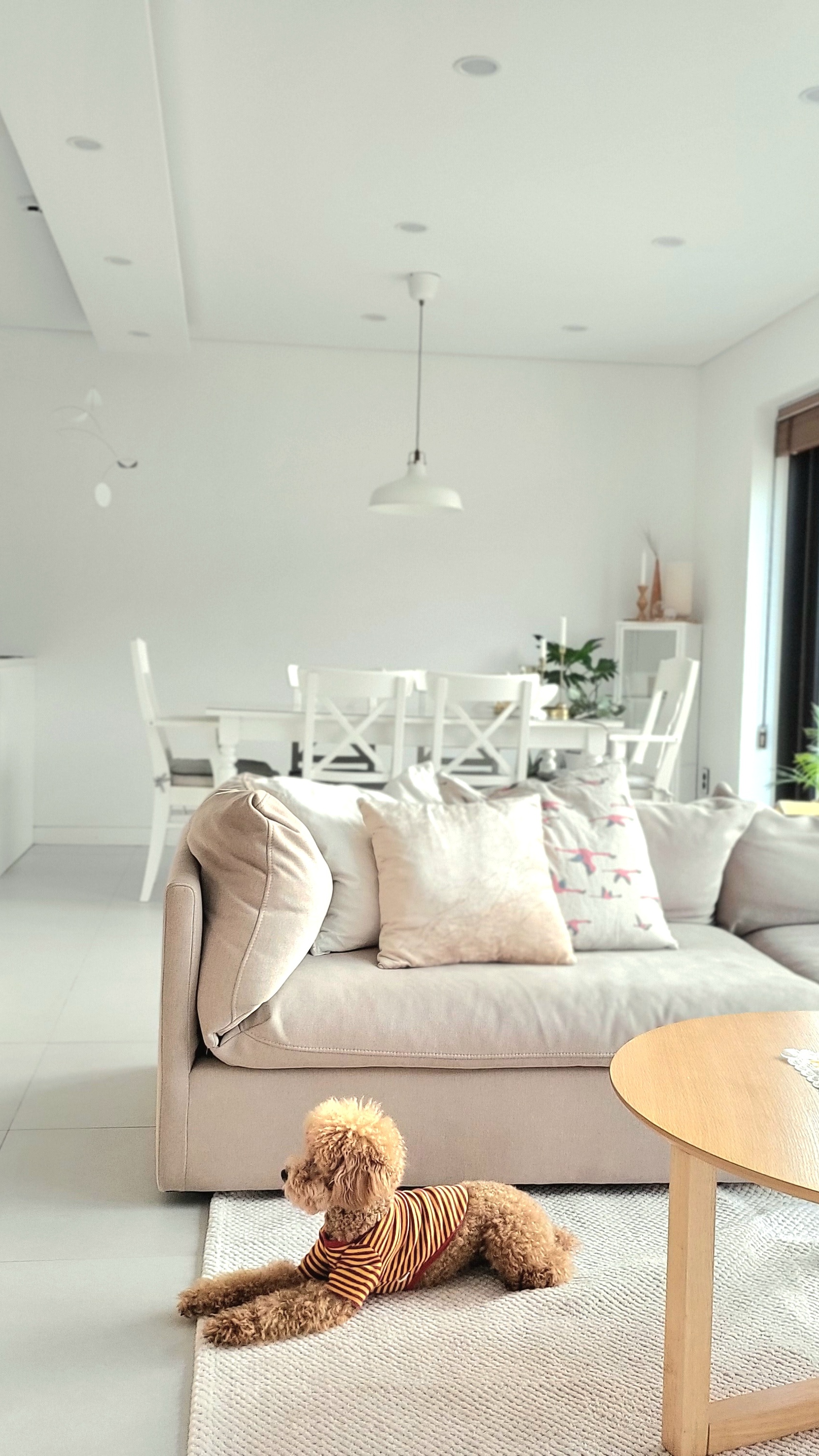 사계절의 변화 그리고 가족의 일상을 담아낸 주택 🏡 라이프스타일 슈퍼앱 오늘의집