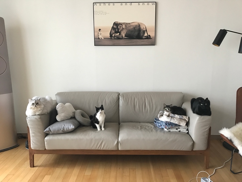 kong._.ja 님의 라이프스타일 | 라이프스타일 슈퍼앱, 오늘의집