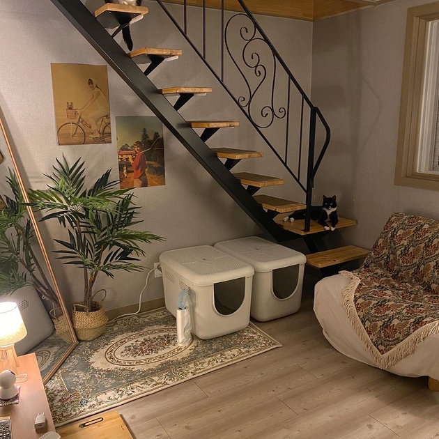 affel 님의 라이프스타일 | 라이프스타일 슈퍼앱, 오늘의집