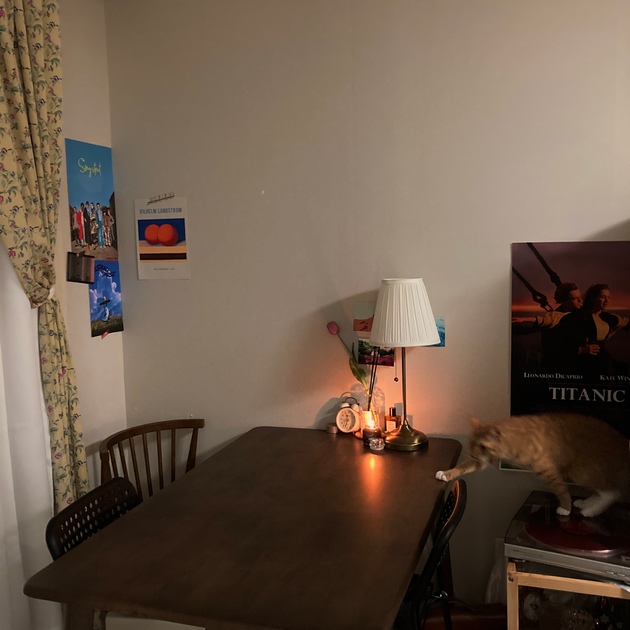 nunx 님의 라이프스타일 | 라이프스타일 슈퍼앱, 오늘의집