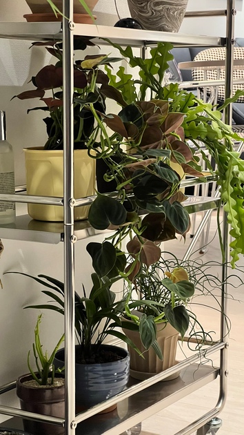 415_flo_mood 님의 라이프스타일 | 라이프스타일 슈퍼앱, 오늘의집