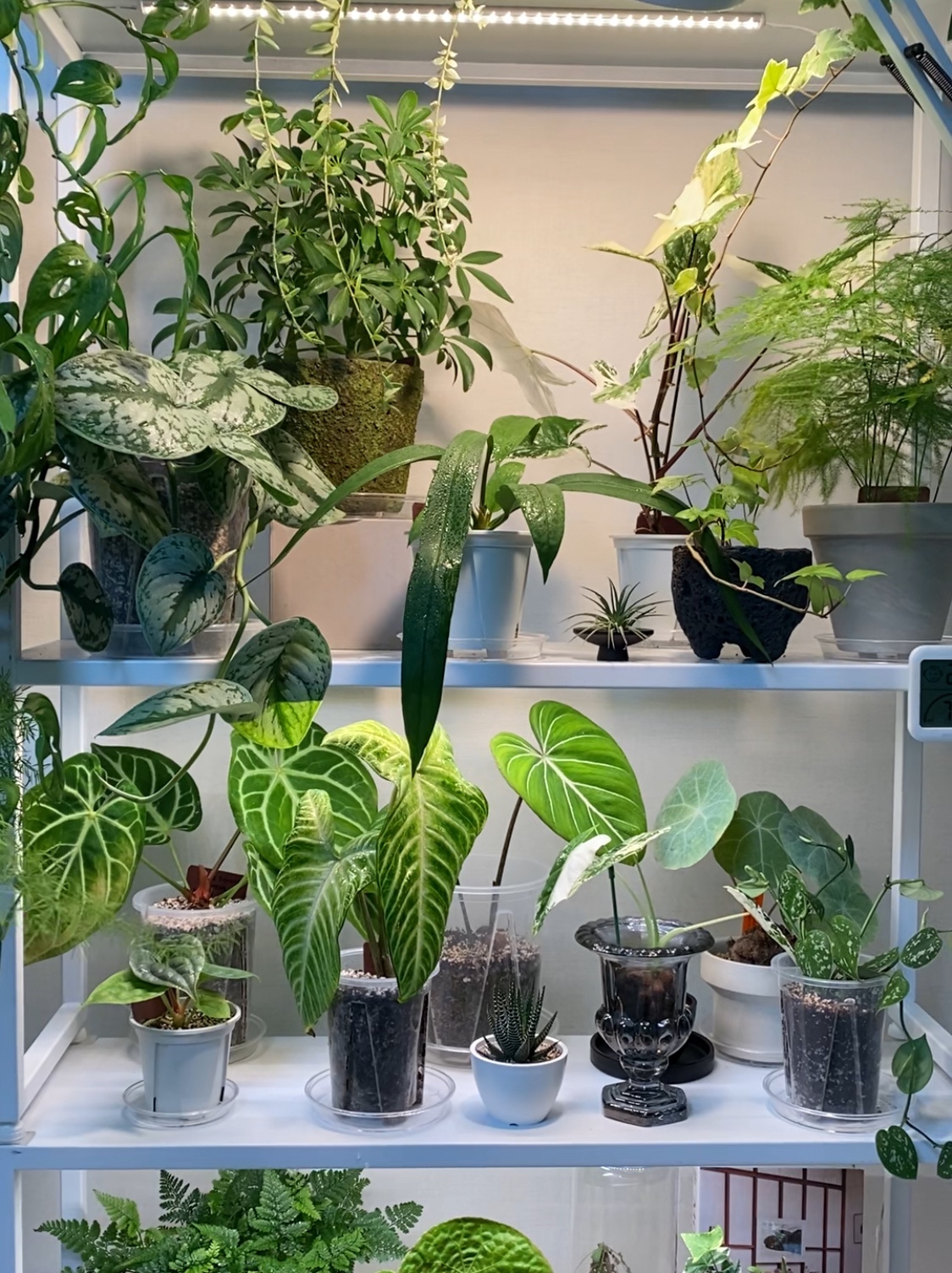 j.keep_ggoing_green 님의 라이프스타일 | 라이프스타일 슈퍼앱, 오늘의집