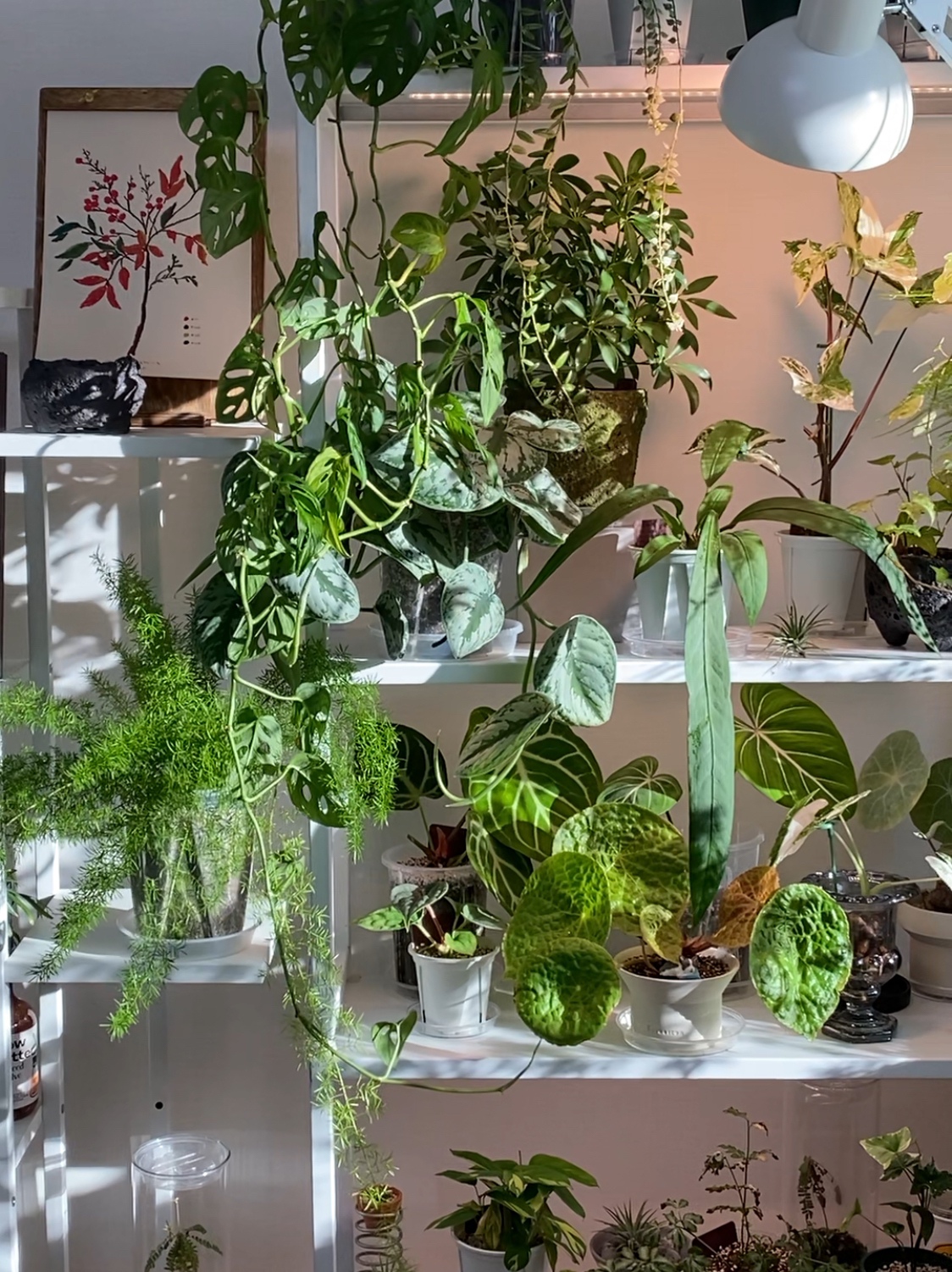 j.keep_ggoing_green 님의 라이프스타일 | 라이프스타일 슈퍼앱, 오늘의집