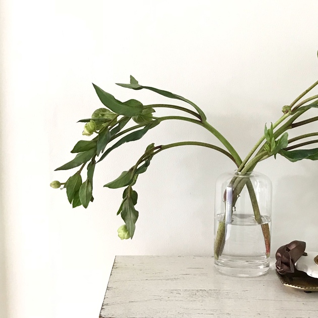 Sonya_hong 님의 라이프스타일 | 라이프스타일 슈퍼앱, 오늘의집