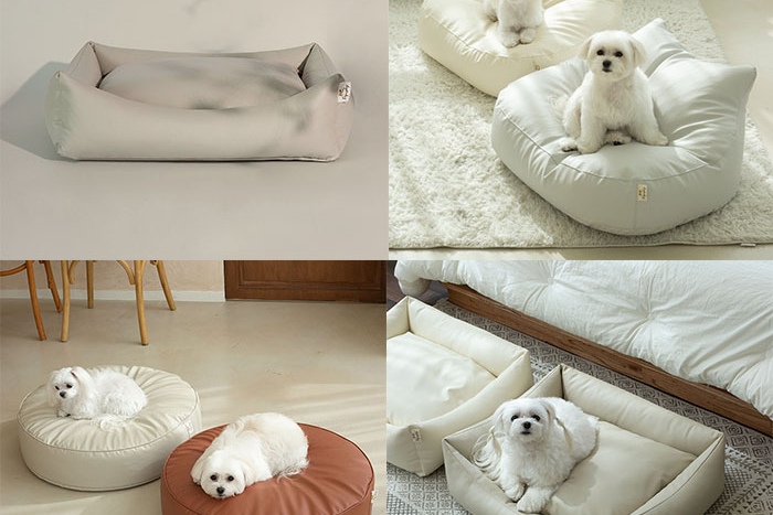 강아지 리빙 도그라피 강아지방석쿠션침대 모음전 오늘의집 쇼핑