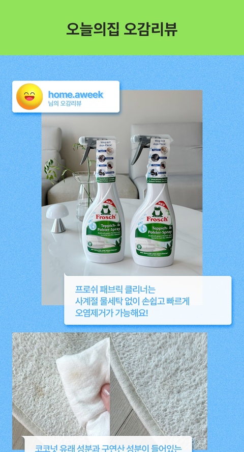 얼룩·찌든때제거제 오늘의집x프로쉬 단독출시 프로쉬 독일 패브릭클리너 러그쇼파카시트 얼룩제거 오늘의집 쇼핑