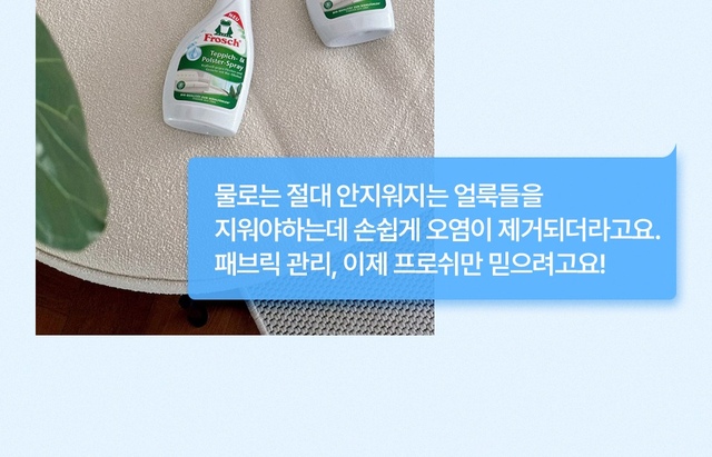 얼룩·찌든때제거제 오늘의집x프로쉬 단독출시 프로쉬 독일 패브릭클리너 러그쇼파카시트 얼룩제거 오늘의집 쇼핑