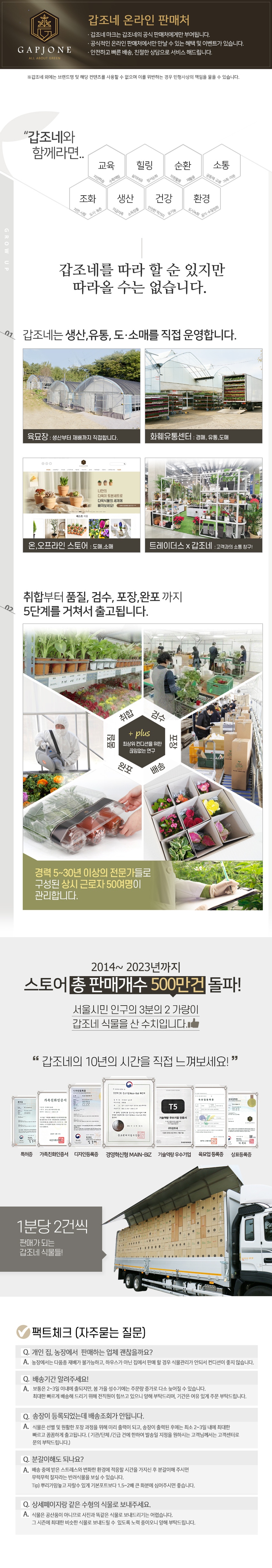 식물 자작나무 디시디아 반볼그린 오늘의집 쇼핑