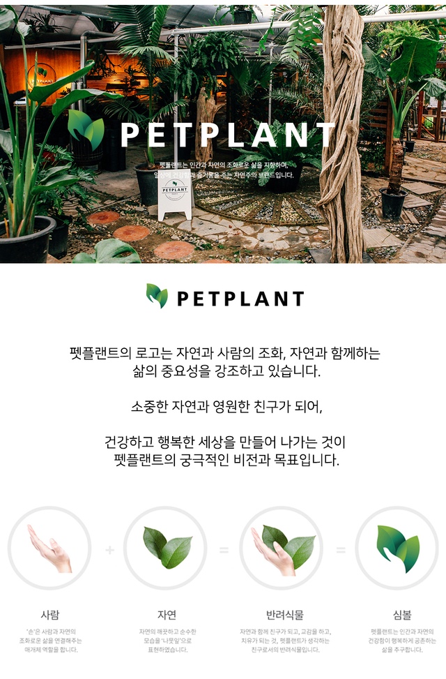 식물 대엽풍란 토끼 욕조테라리움 세트 집들이 공기정화식물 오늘의집 쇼핑