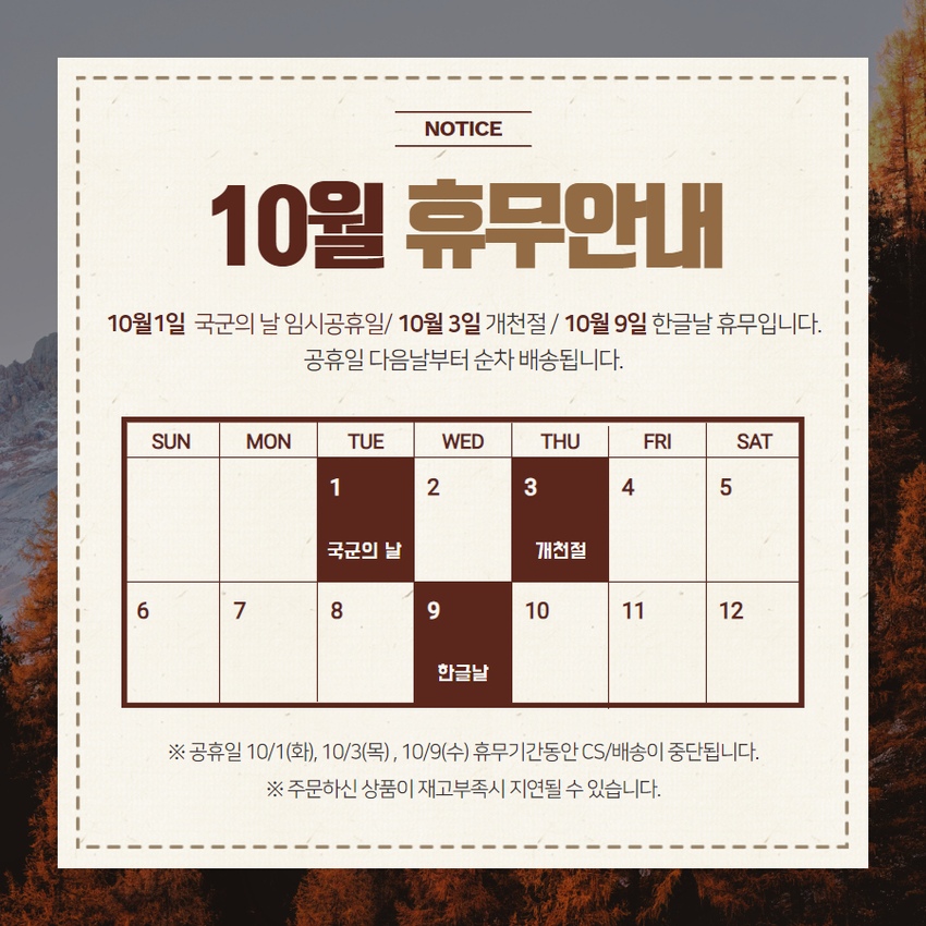 마스크·건강용품 바디 승모근 두피 스틱 나무 괄사 마사지 1size 개구리 오늘의집 쇼핑