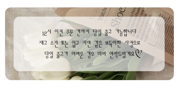 리스·조화 소나무 솔잎 솔방울 나뭇가지 크리스마스 조화 오늘의집 쇼핑