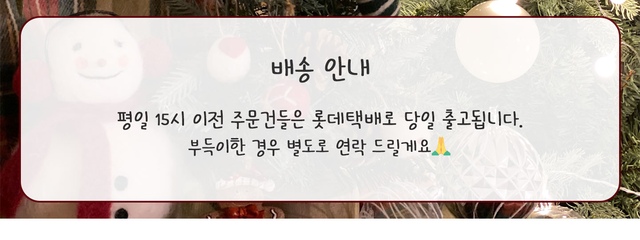 트리·오너먼트 오로라 크리스마스 오너먼트 세트 3sizes 플라스틱 오늘의집 쇼핑