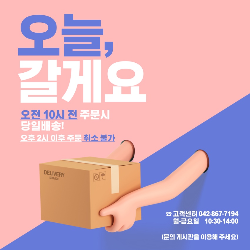 장식소품 홈데코 소품 세트 오늘의집 쇼핑
