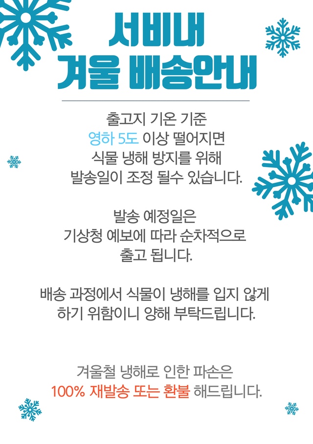 식물 목대 바늘꽃 가우라 나비 바늘꽃 인테리어 플랜테리어 예쁜꽃 월동꽃 오늘의집 쇼핑