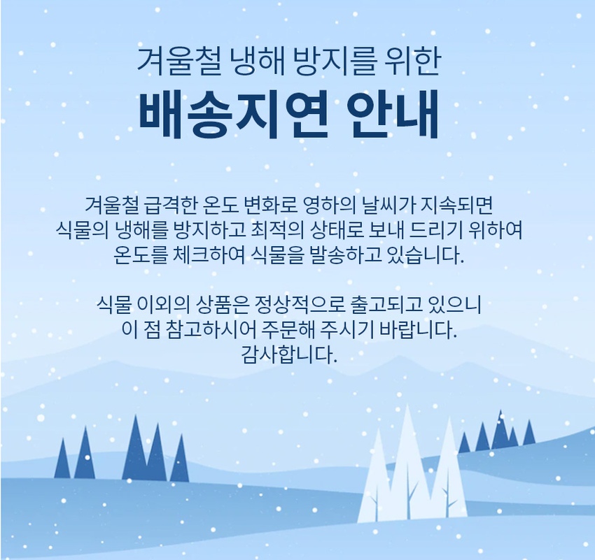 식물 호프셀렘 실내공기정화식물 인테리어식물 셀렘 오늘의집 쇼핑