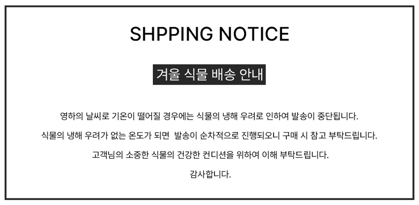 식물 11 책상위의 키우기 쉬운 감성식물 아이비 스킨답서스 테이블야자 오늘의집 쇼핑