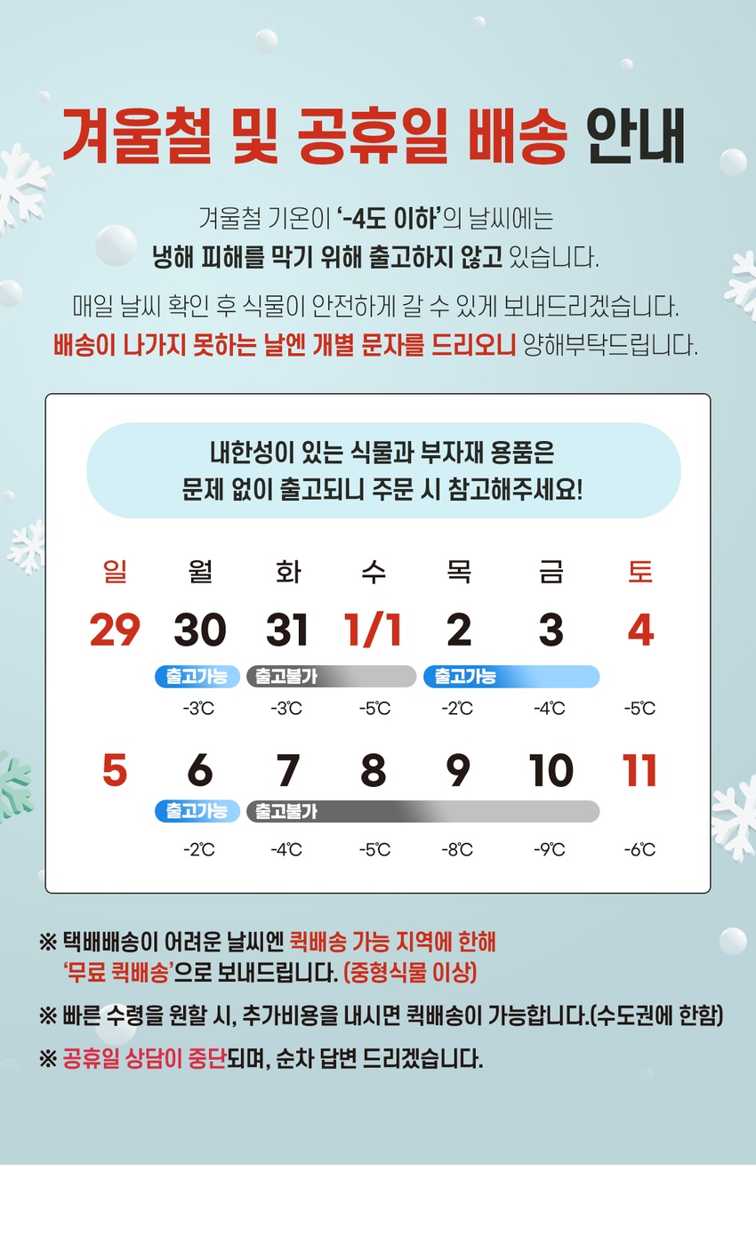 식물 곱슬버들 생화 수경재배 오늘의집 쇼핑
