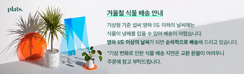 화병·화분 리퍼 한정수량 컬러별 화분커버 모음 오늘의집 쇼핑