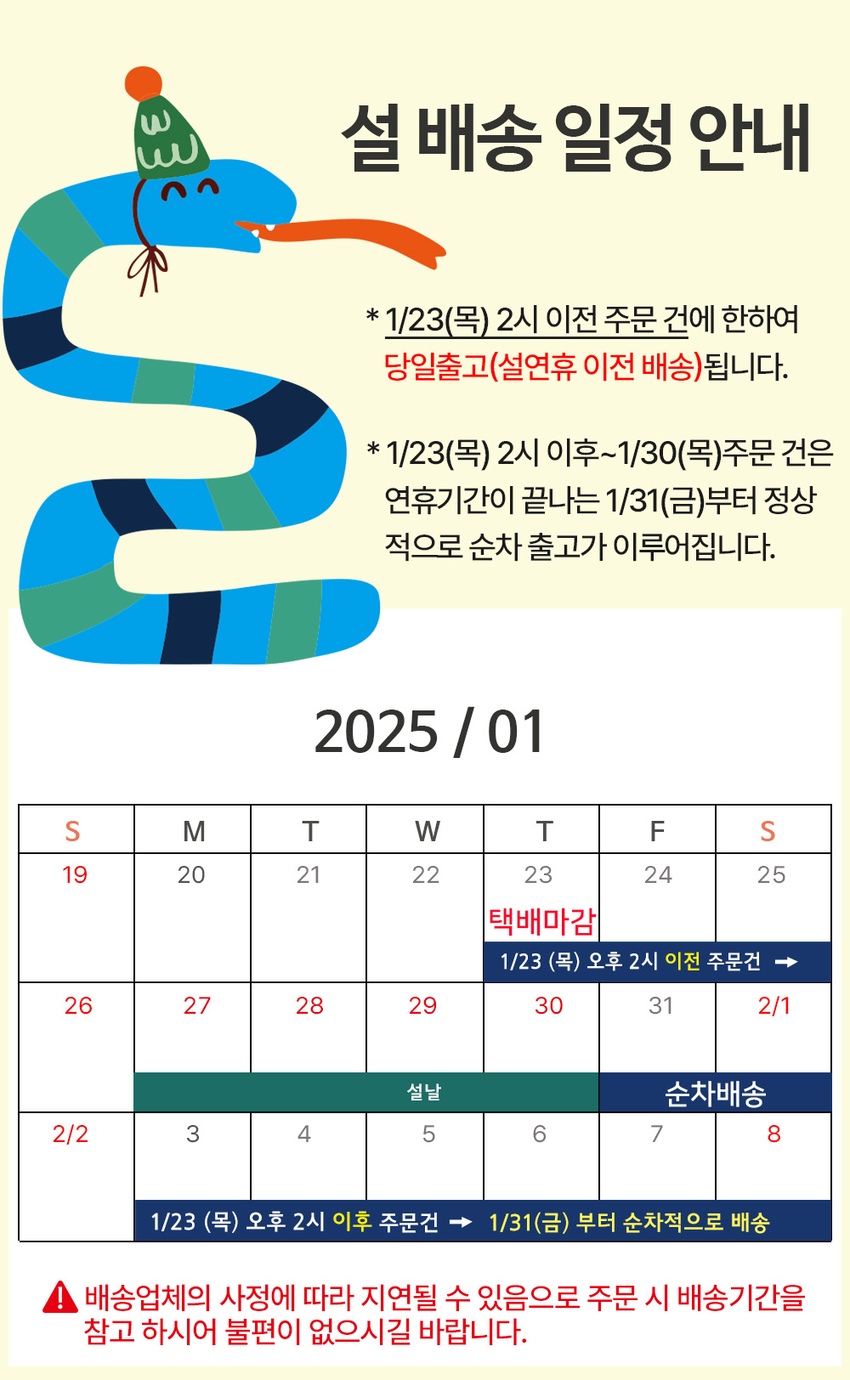드라이플라워 가정의달 프리저브드 카네이션 꽃다발 쇼핑백증정 2colors 오늘의집 쇼핑