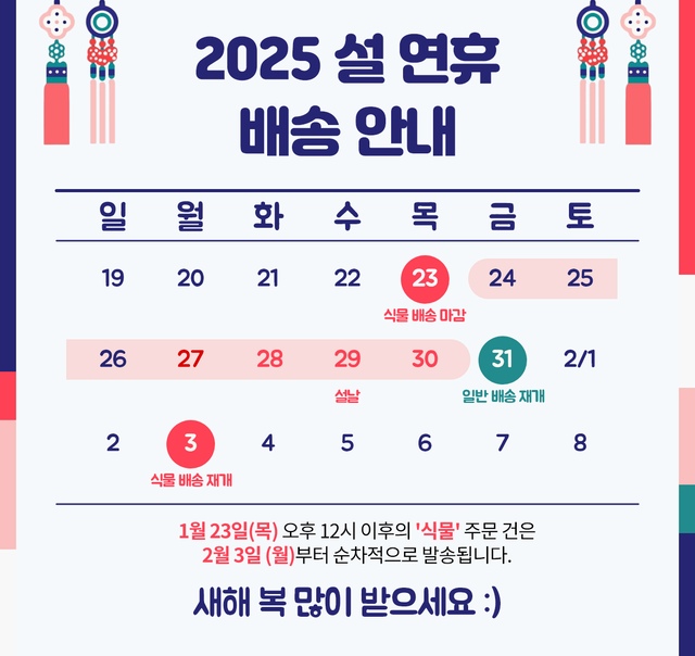 식물 스킨답서스 하늘색 둥근 화분 11 식물케어 오늘의집 쇼핑