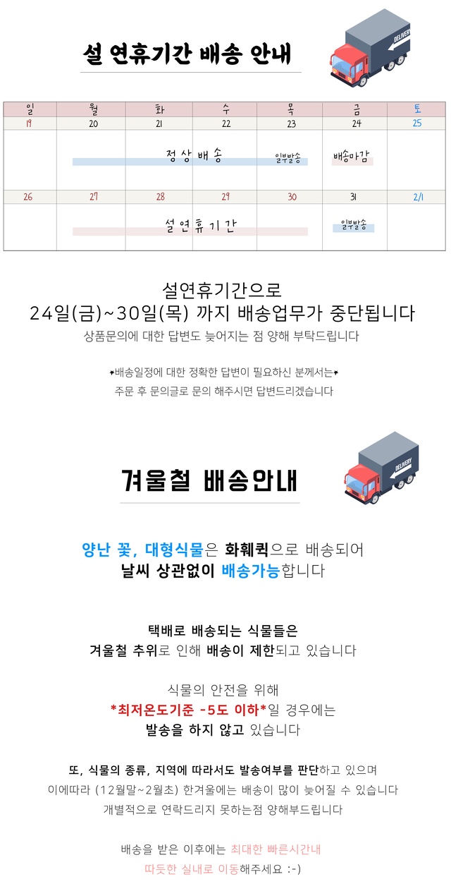 식물 아단소니 공기정화 수생식물 인테리어 오늘의집 쇼핑