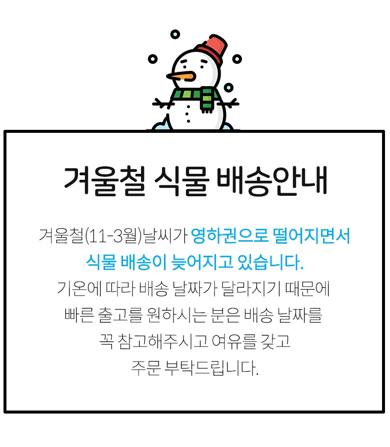 식물 전국화물배송 남천 나무 특대형 화분 실내공기정화식물 대형식물 오늘의집 쇼핑