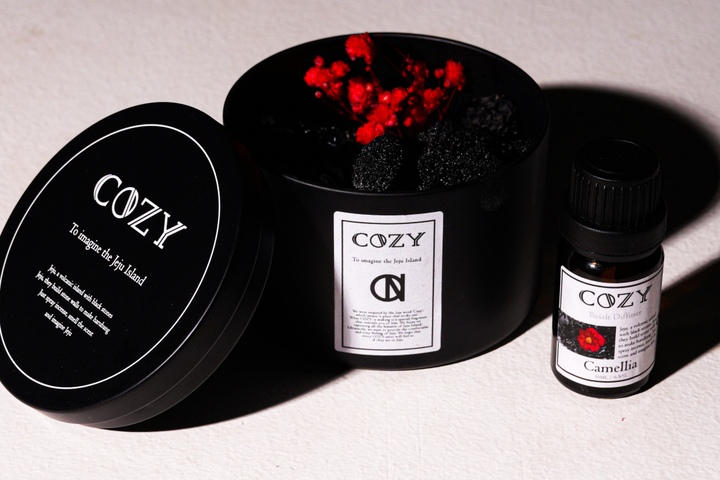 디퓨져 코지 화산석 스톤디퓨저 Cozy Basalt Diffuser 오늘의집 쇼핑