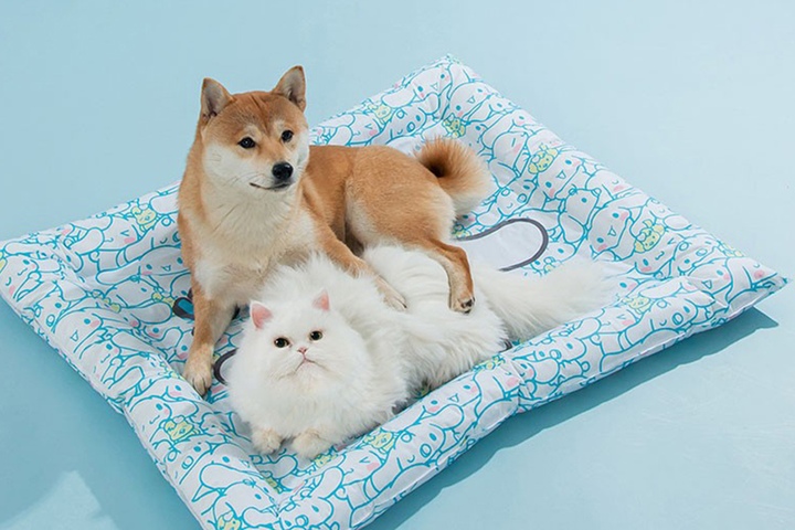 강아지 리빙 강아지 고양이 애견 시나모롤 여름 쿨매트 쿨방석 아이스 쿨패드 S 사이즈 오늘의집 쇼핑
