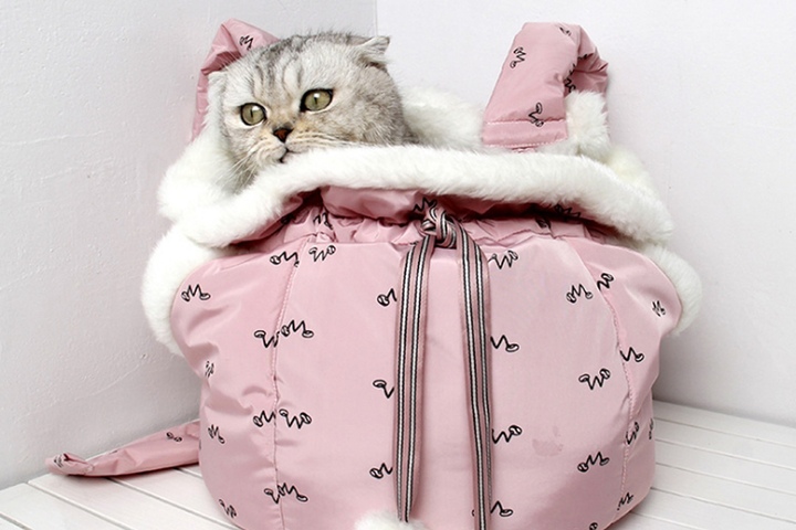 고양이 패션·외출 강아지 고양이 겨울 외출 보온 포대기 캥거루 앞가방 이동가방 오늘의집 쇼핑