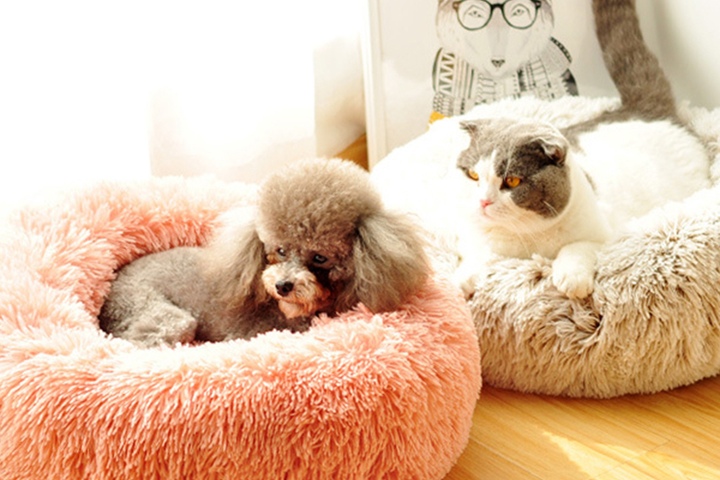고양이 리빙 강아지 고양이 푹신 보들 구름 도넛 쿠션 중형 오늘의집 쇼핑