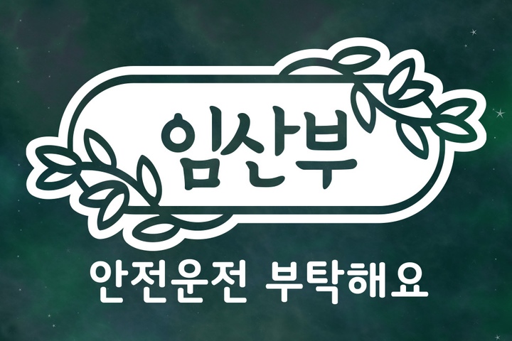 익스테리어용품 안전운전 차량 스티커 Lmcs 007 덩굴 임산부 오늘의집 쇼핑