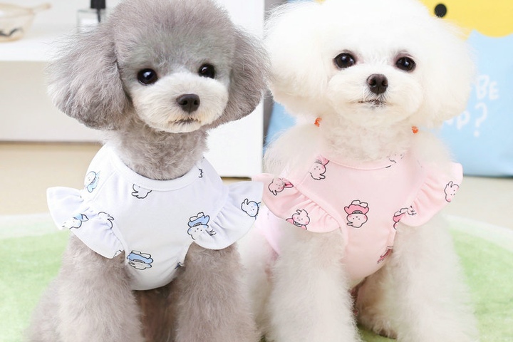강아지 패션 토끼 프릴 티셔츠 강아지옷 오늘의집 쇼핑
