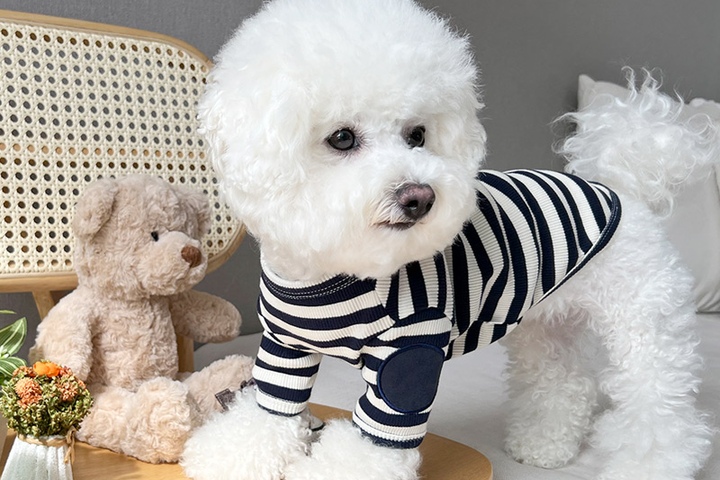 강아지 패션 강아지 티셔츠 곰 패치 스트라이프 긴소매 가을 강아지옷 네이비 S 오늘의집 쇼핑