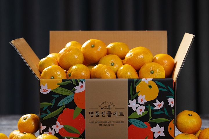과일 제주 조생 노지감귤 3kg 로열과s M 오늘의집 쇼핑