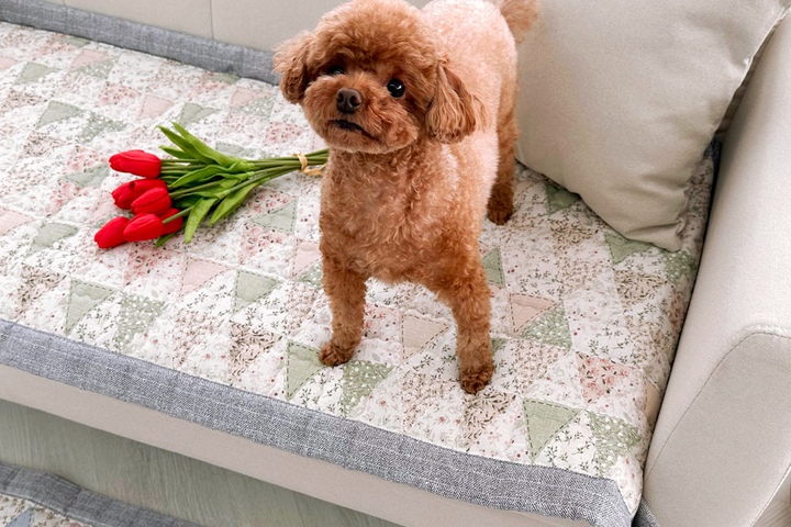 소파커버 순면 논슬립 쇼파커버 정전기없는 누빔 천깔개포레 오늘의집 쇼핑