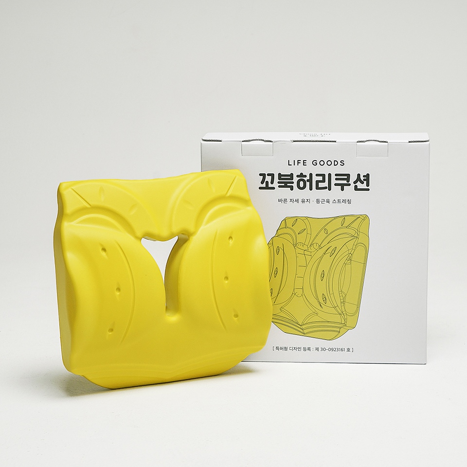 쿠션 꼬북허리쿠션 척추전문의가 만든 등쿠션 오늘의집 쇼핑