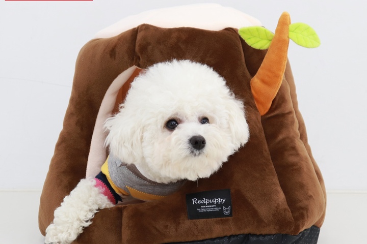 고양이 리빙 고양이 강아지 하우스 정글숨 집 동굴형 2colors 오늘의집 쇼핑