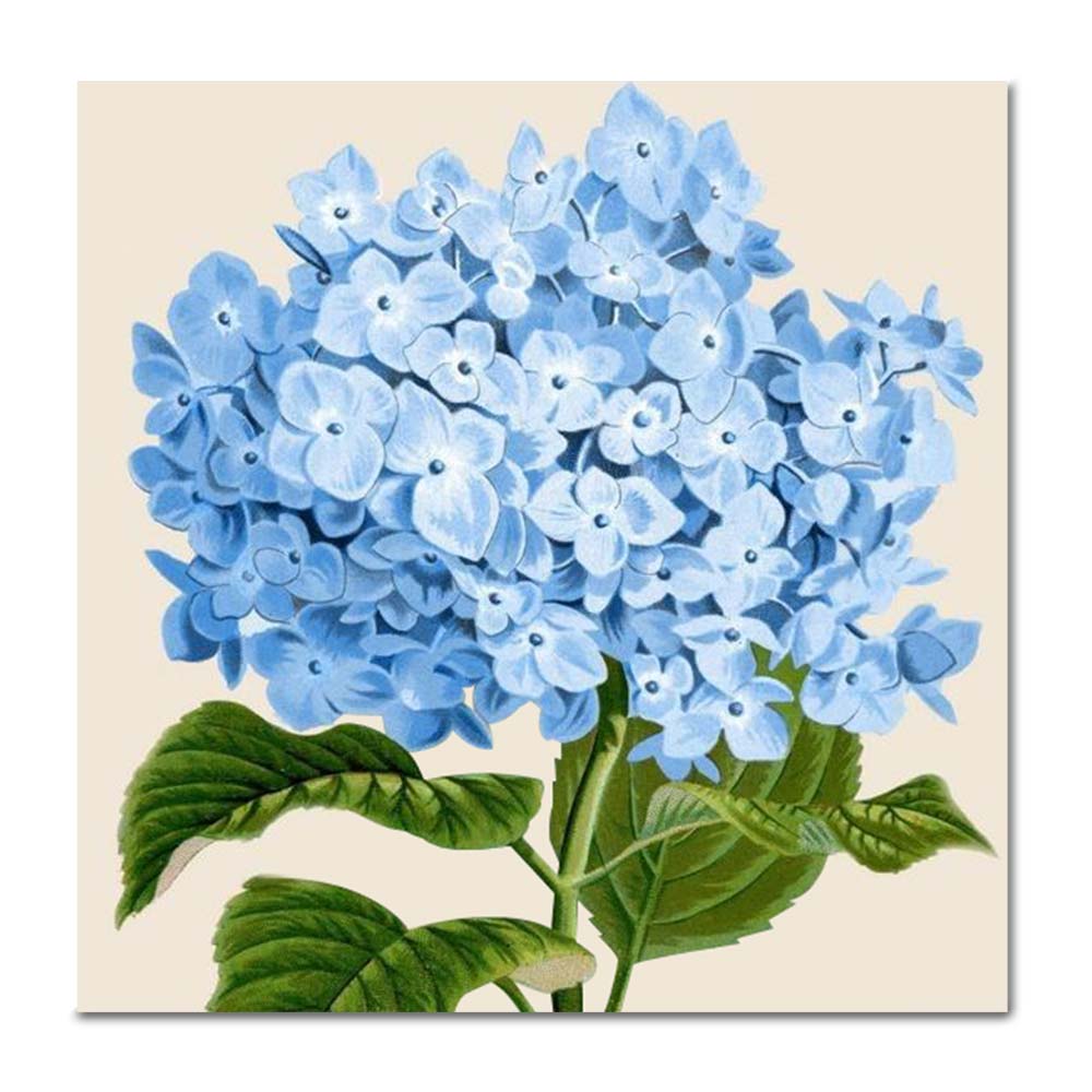 DIY명화그리기 > DIY 페인팅 블루 하이드렌저 PE47 (25x25) | 오늘의집 쇼핑