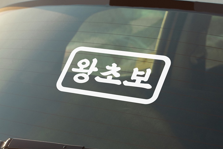 익스테리어용품 심플 사각 왕초보 초보운전 차량용 스티커 오늘의집 쇼핑