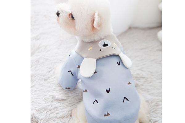 강아지 패션 블루베어 기모티 강아지옷 고양이 후드티셔츠 오늘의집 쇼핑