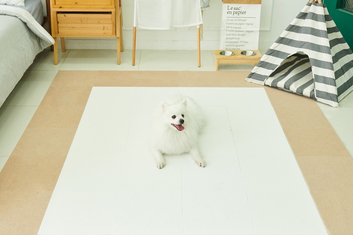 사이잘룩러그 타일카페트 셀프 Diy 미끄럼방지매트30x3010장 3color 오늘의집 쇼핑