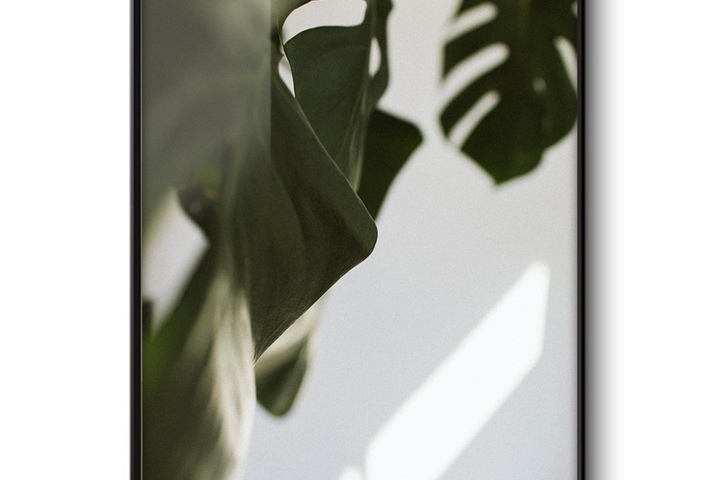 그림·사진 Monstera 감성 사진 포스터 인테리어액자 오늘의집 쇼핑