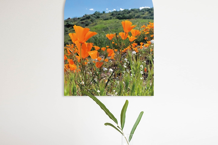 그림·사진 마이 리틀 윈도우 인테리어 접착 아치 포스터 47 Walker Canyon 오늘의집 쇼핑