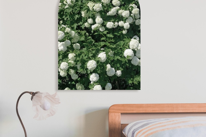 그림·사진 마이 리틀 윈도우 인테리어 접착 아치 포스터 71 Blanc Fleurs 오늘의집 쇼핑